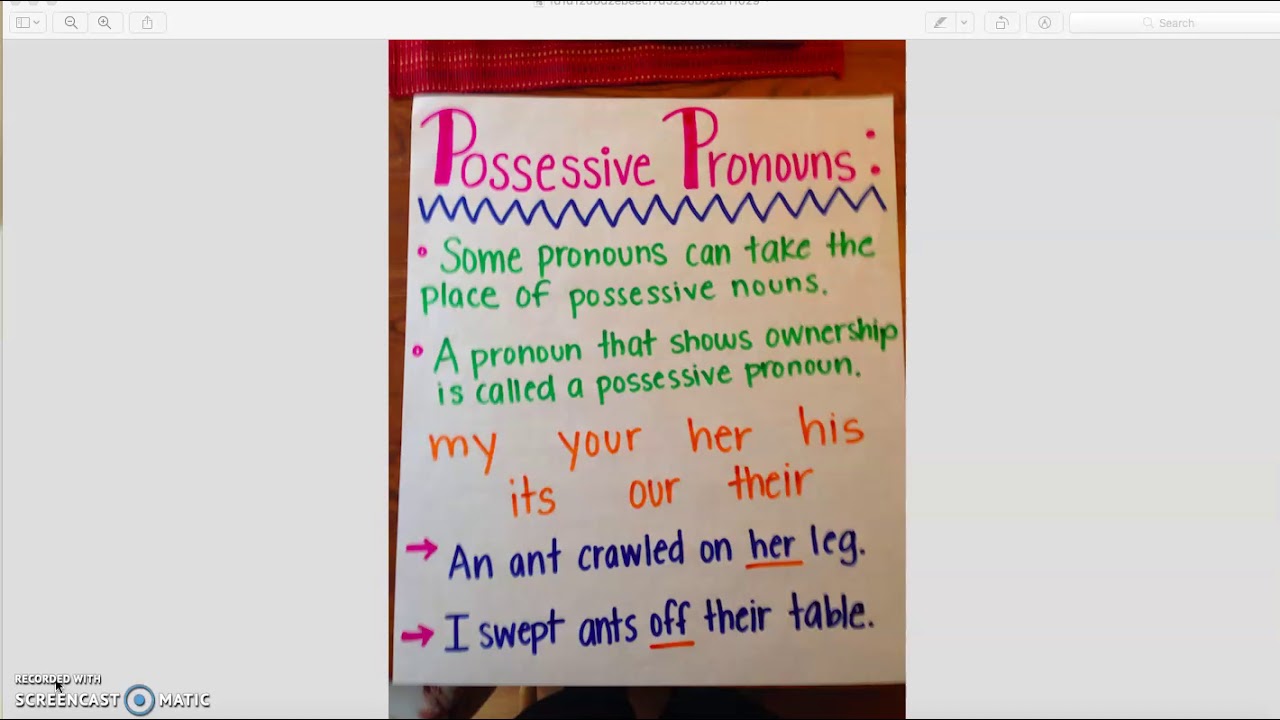 Grade 1 Grammar: Possessive Pronouns - YouTube