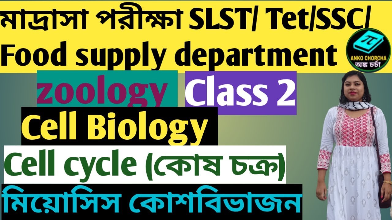 Cell cycle ( কোষ চক্র) মিয়োসিস দশা, মাদ্রাসা SLST, Primary tet, upper ...