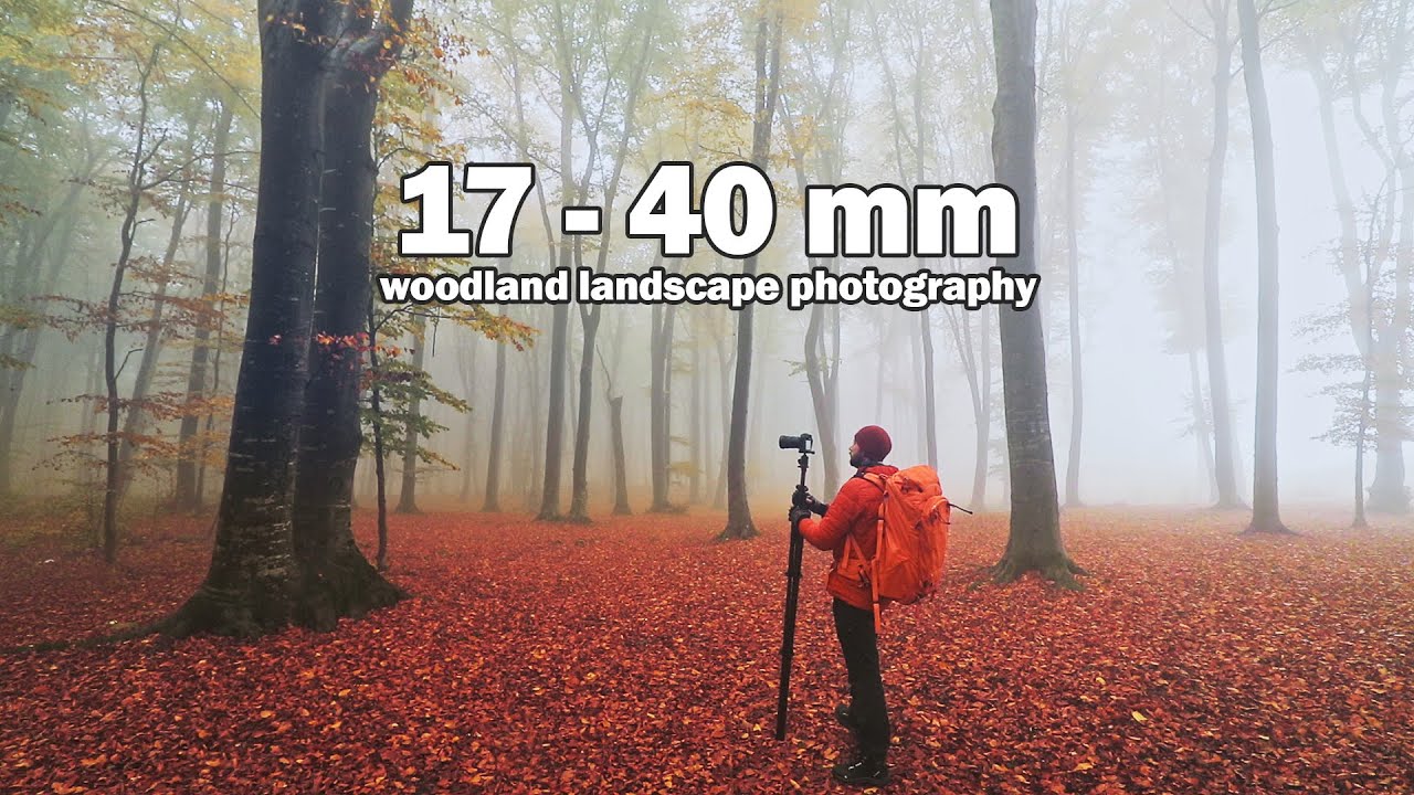 7 Photography Tips: Woodland Photography with a Wide Angle Lens - YouTube