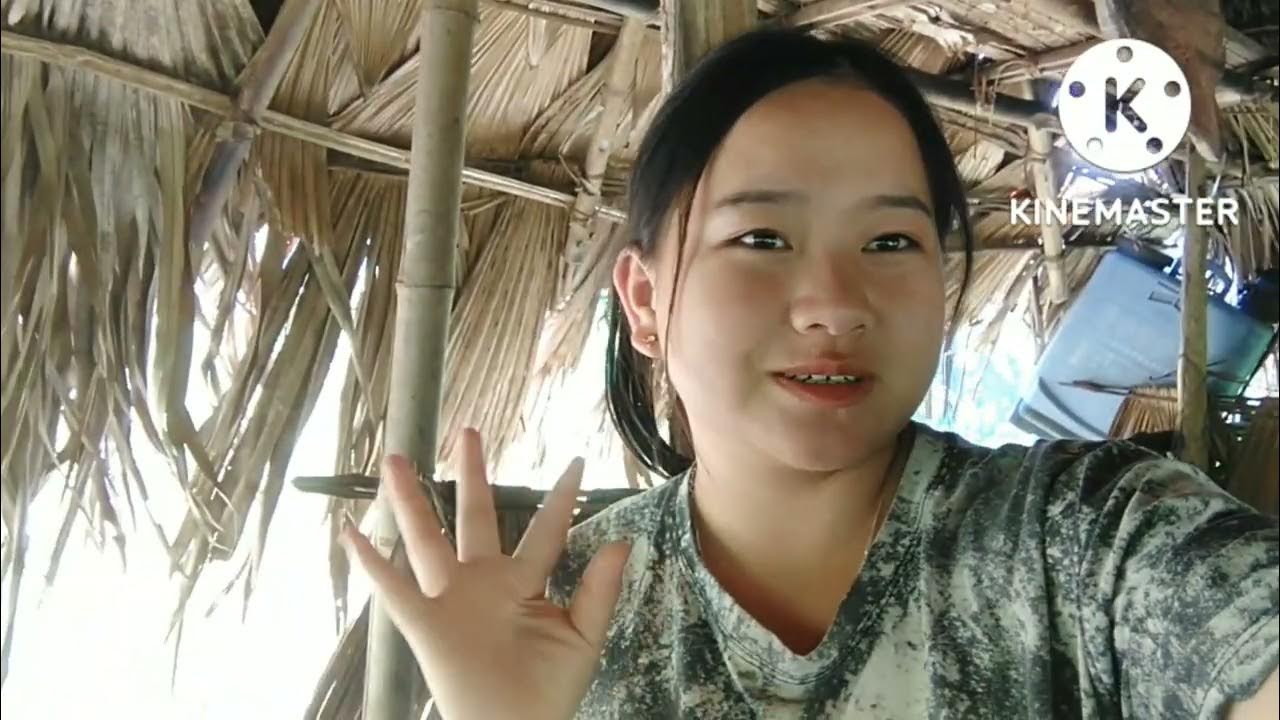 Hnub no kuv mus saib nplej es nplej siav daj2 lm os zoo siab heev:19/10/2022 - YouTube