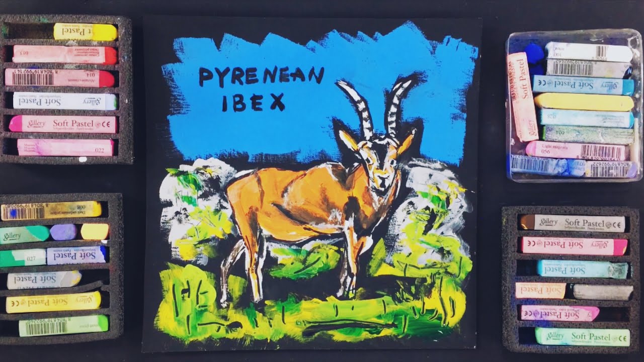 Pyrenean Ibex (Capra pyrenaica pyrenaica) / Art Project " Extinct ...