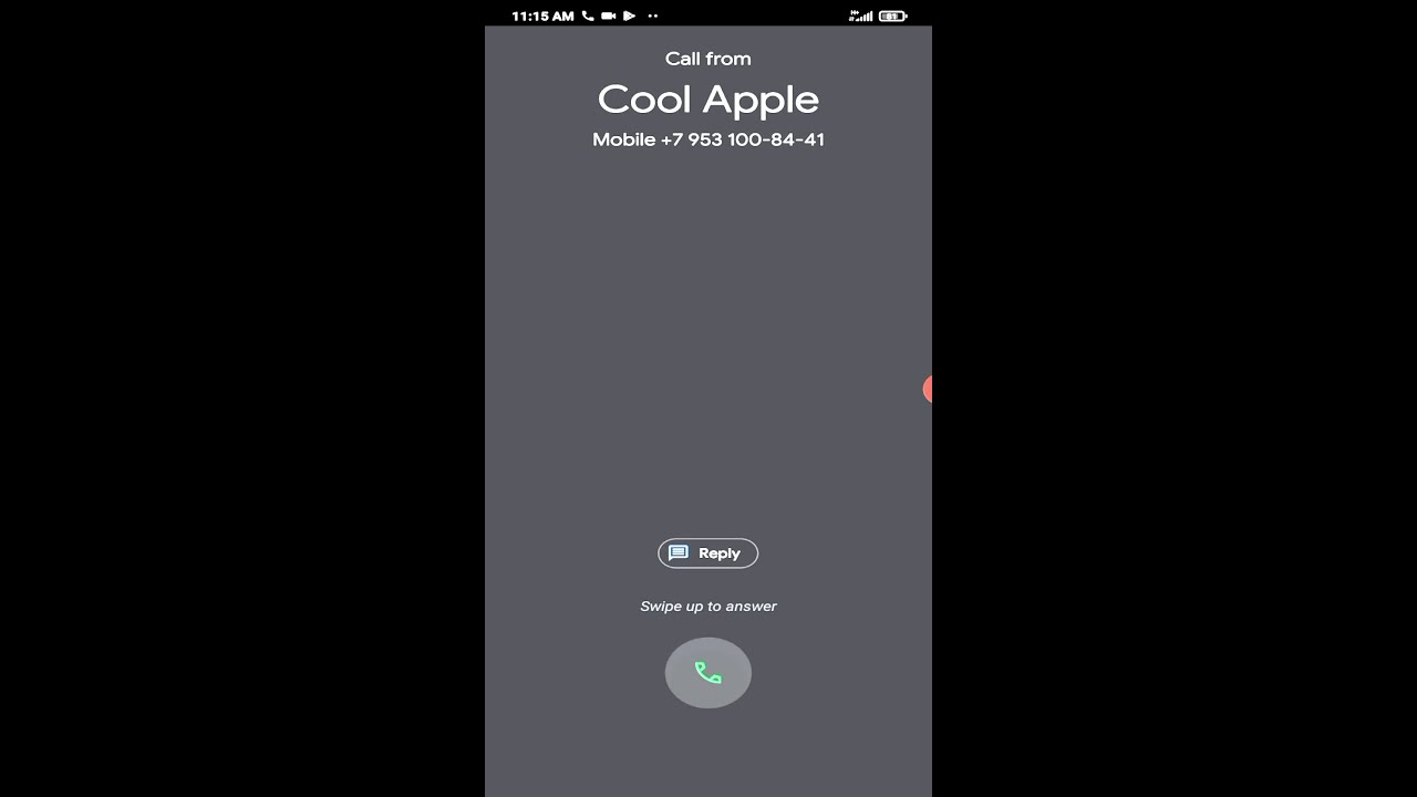 Xiaomi Redmi 9 4/64GB (NFC) screen recorder/ Incoming call - YouTube