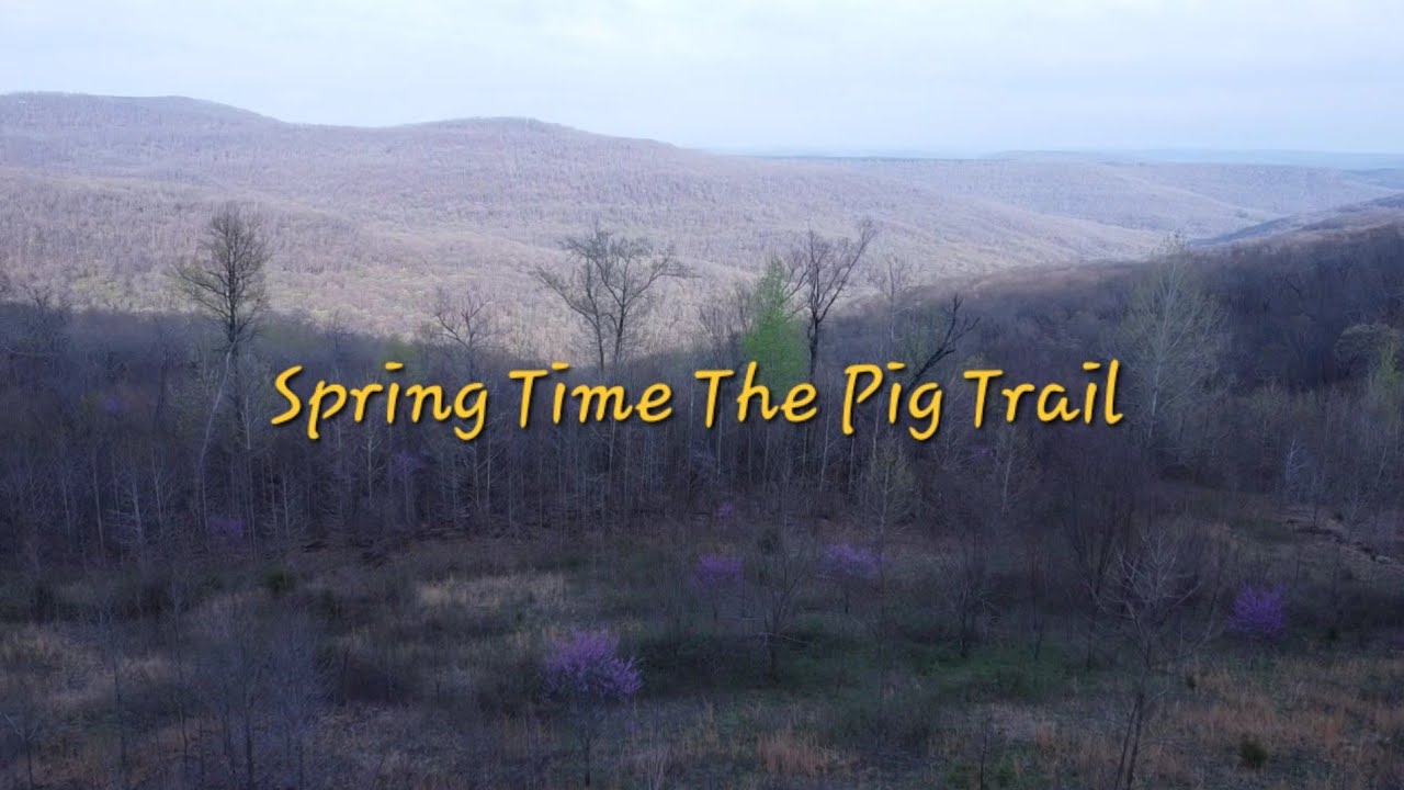 Full Beautiful Pig Trail Scenic Byway Springtime in the Ozarks National ...