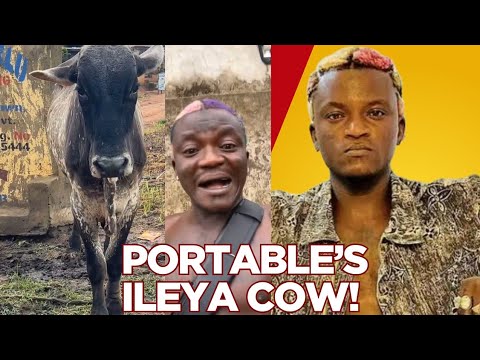 Singer Portable Flaunts His 2025 Ileya Cow | Funny Yoruba Tease Goes ...