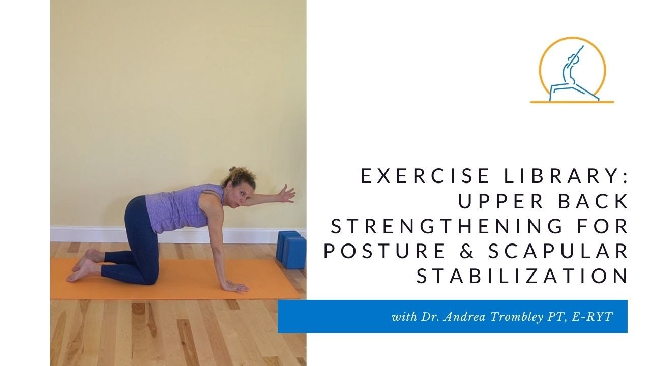 Exercise Library: Upper Back Strengthening for Posture and Scapular ...
