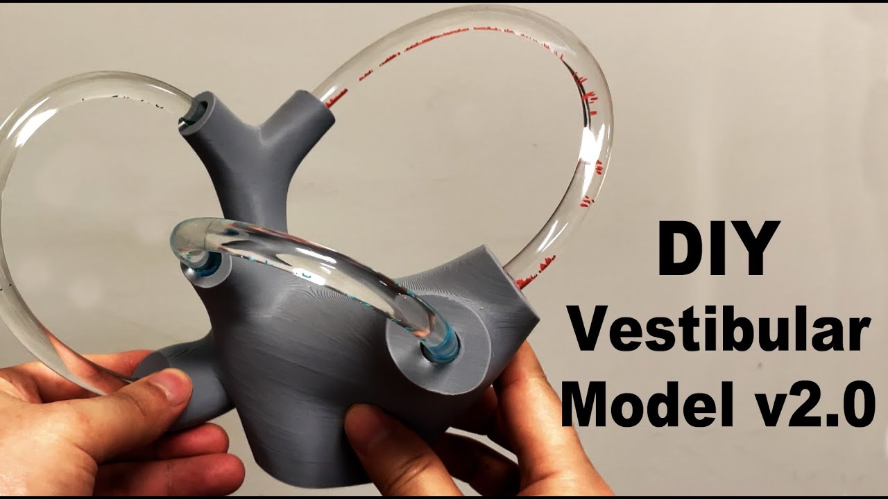 Vestibular System Model