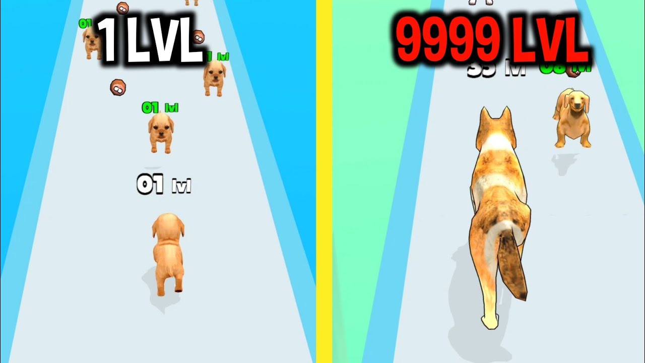 MAX LEVEL in Dog Evolution 3D Game - YouTube