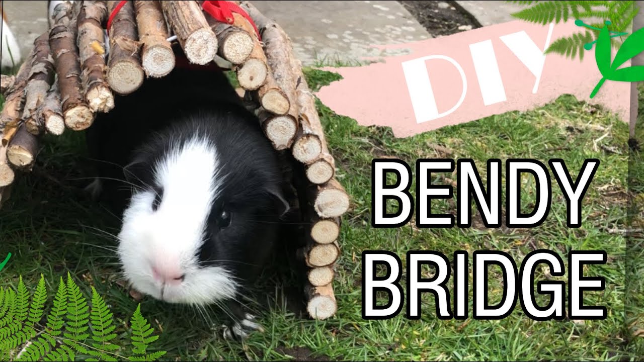 DIY Bendy Bridge! - YouTube