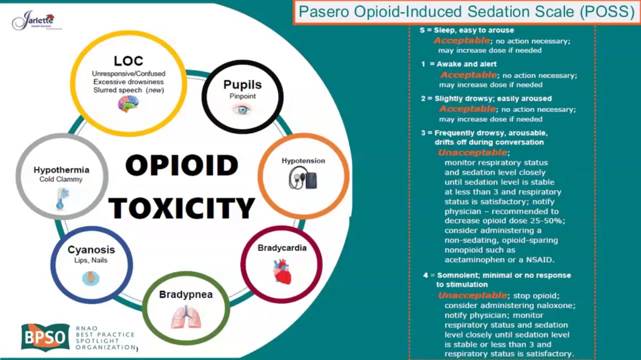 Assessment and Management of Non-cancer Pain in Older Adults - YouTube