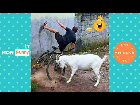تحدي لا تضحك 🤣😆 | أفضل المقاطع المضحكة بلا توقف | ضحك من البداية للنهاية | الجزء 7 | 2026