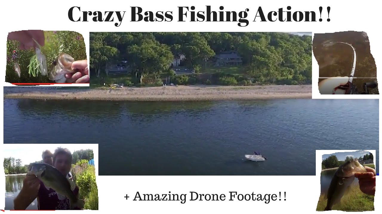 Crazy Bass Fishing Action! (Bonus Drone Footage) - YouTube