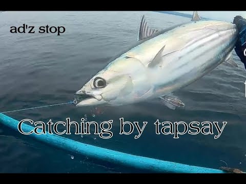 CATCHING BY TAPSAY - YouTube
