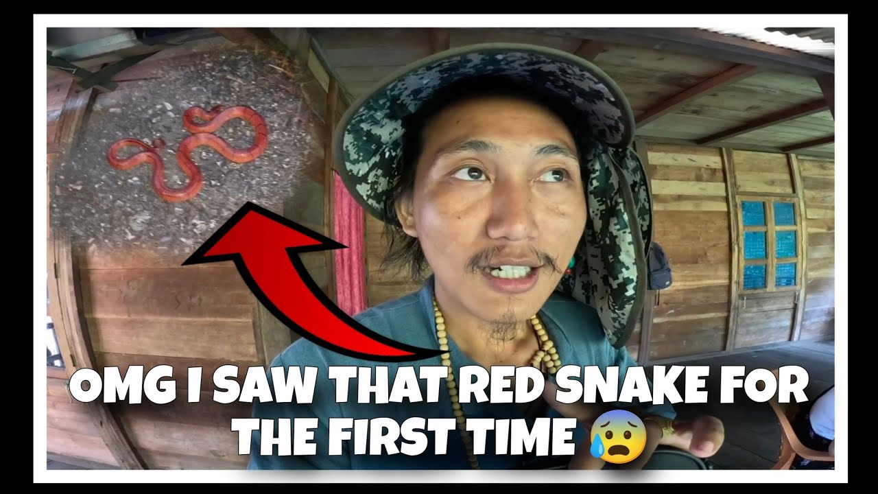 Tuting to Singha ️‍🔥 - YouTube