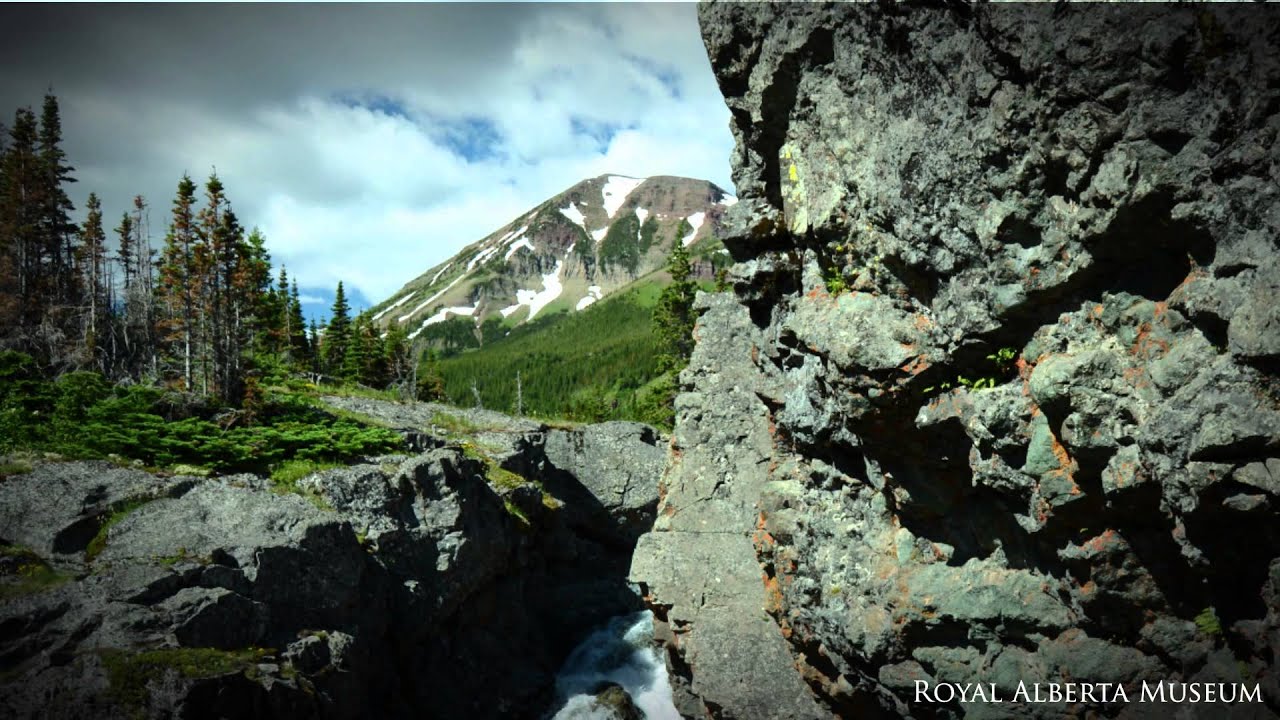 Tracking Down the Volcanoes of Ancient Alberta - YouTube