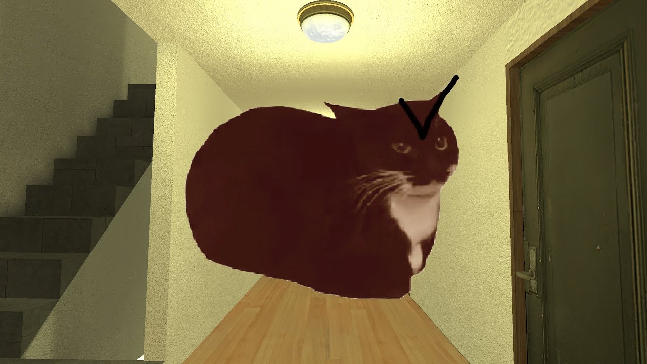 Angry Maxwell Cat Nextbot Gmod - YouTube