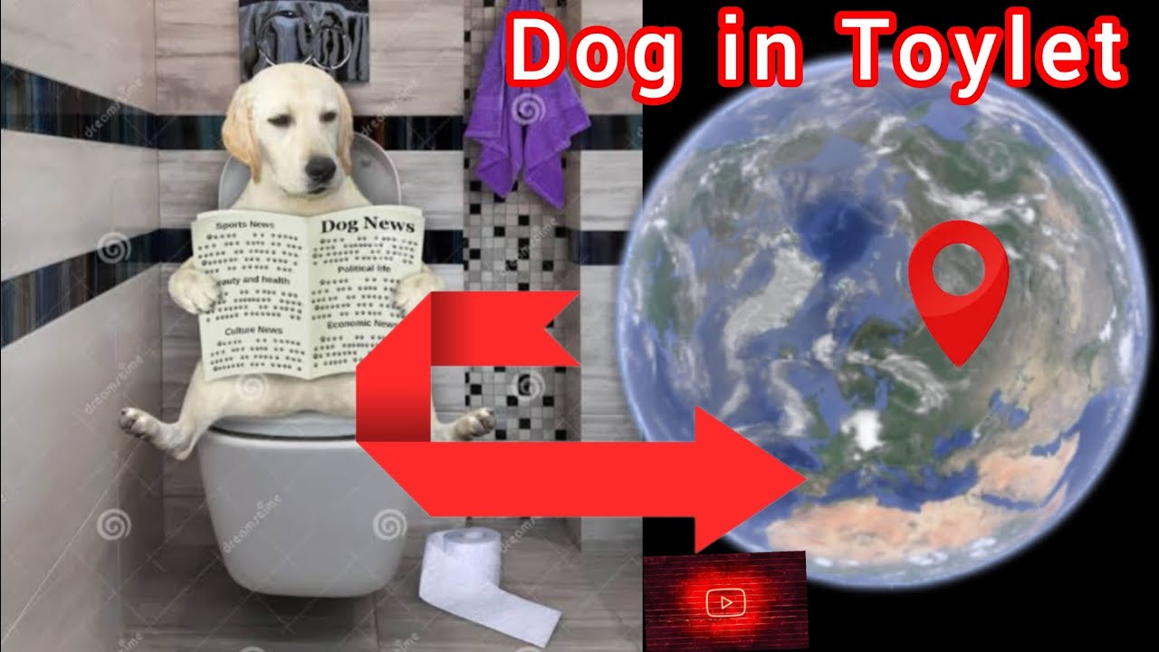 Dog in the Toylet On Google Earth Maps #google #maps #youtubevideos ...