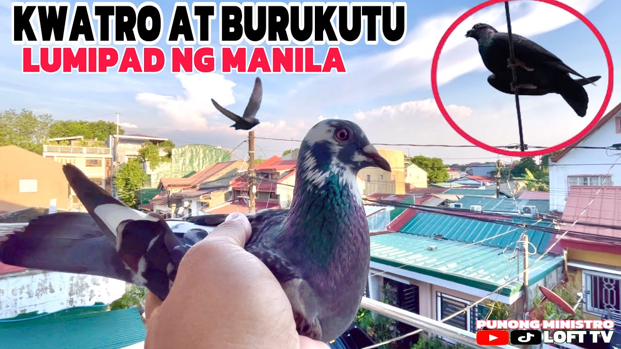 EP776 - ANG PAGBABALIK NI KWATRO NG MAYNILA KASAMA SI BURUKUTU! - YouTube