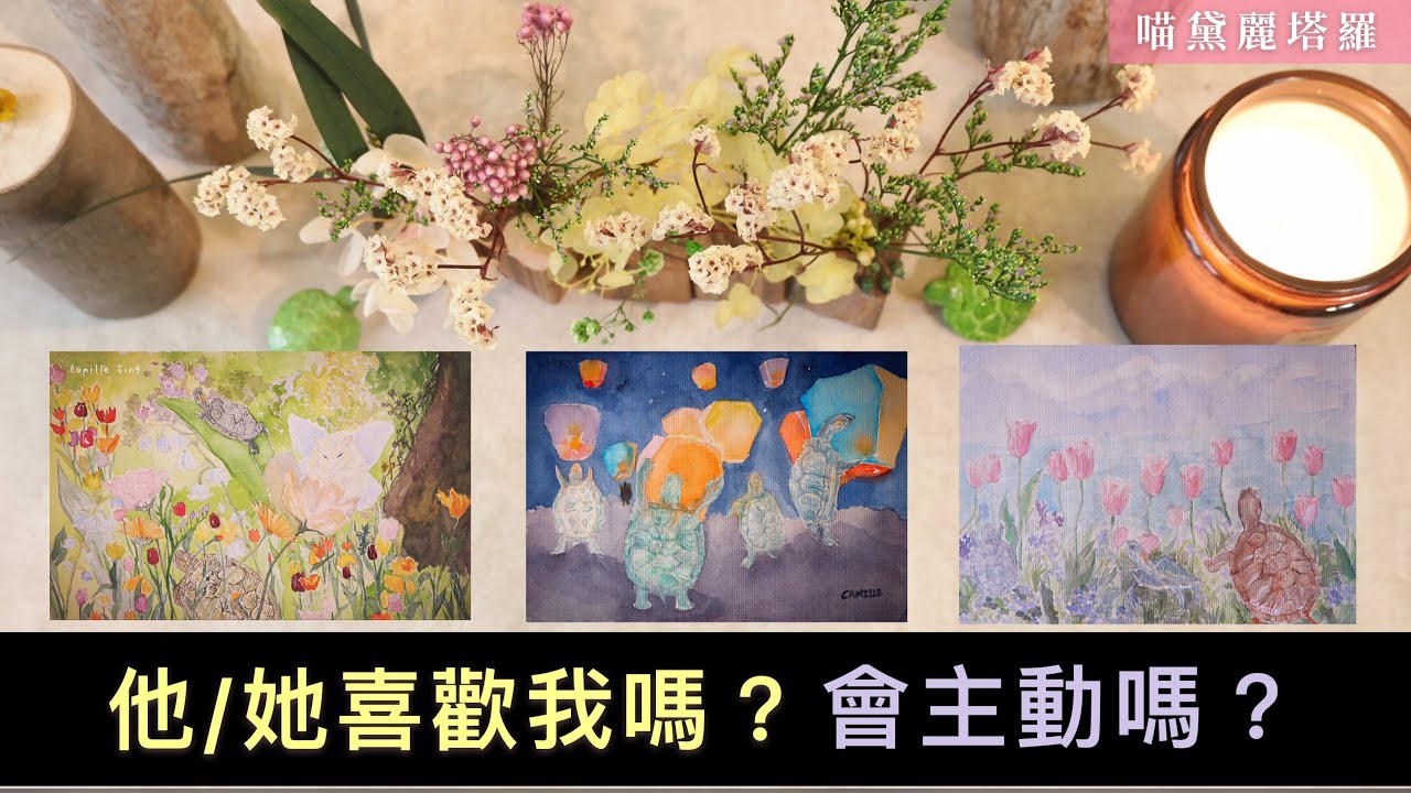 他她有喜歡我嗎?未來會主動嗎?不限關係、無時間限制 喵黛麗塔羅 Youtube
