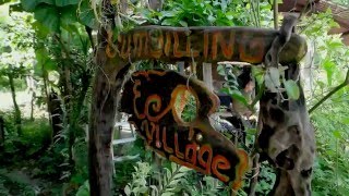Sumbiling Eco Village - Eco Lodge in Brunei - Temburong National Park