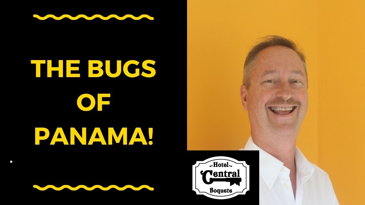 The Bugs of Panama! - YouTube