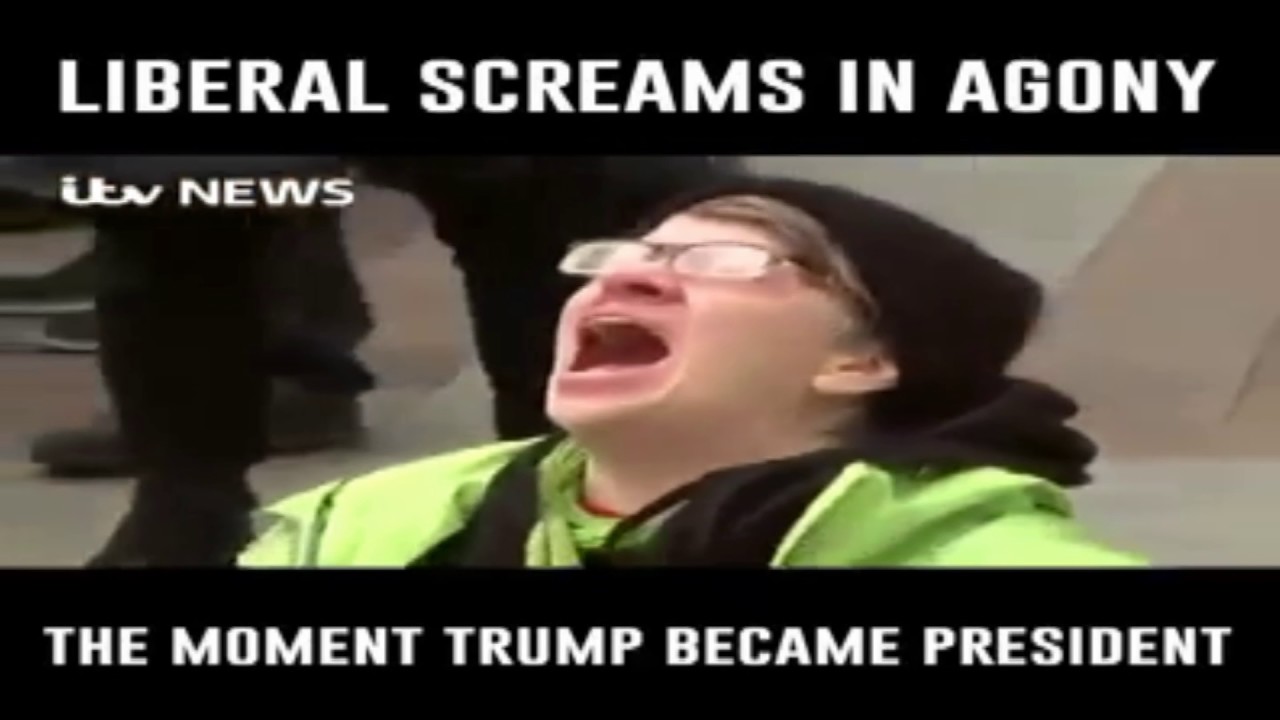 Trump NOOOOOOOO - YouTube