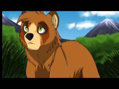 Meet The Seekers Bears: Kallik, Lusa, Ujurak, and Toklo! - YouTube