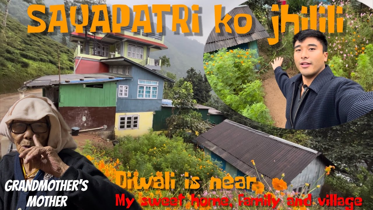 My garden and village vlog ️ | Sayapatri 🌻 ko jhilili Diwali is near ...
