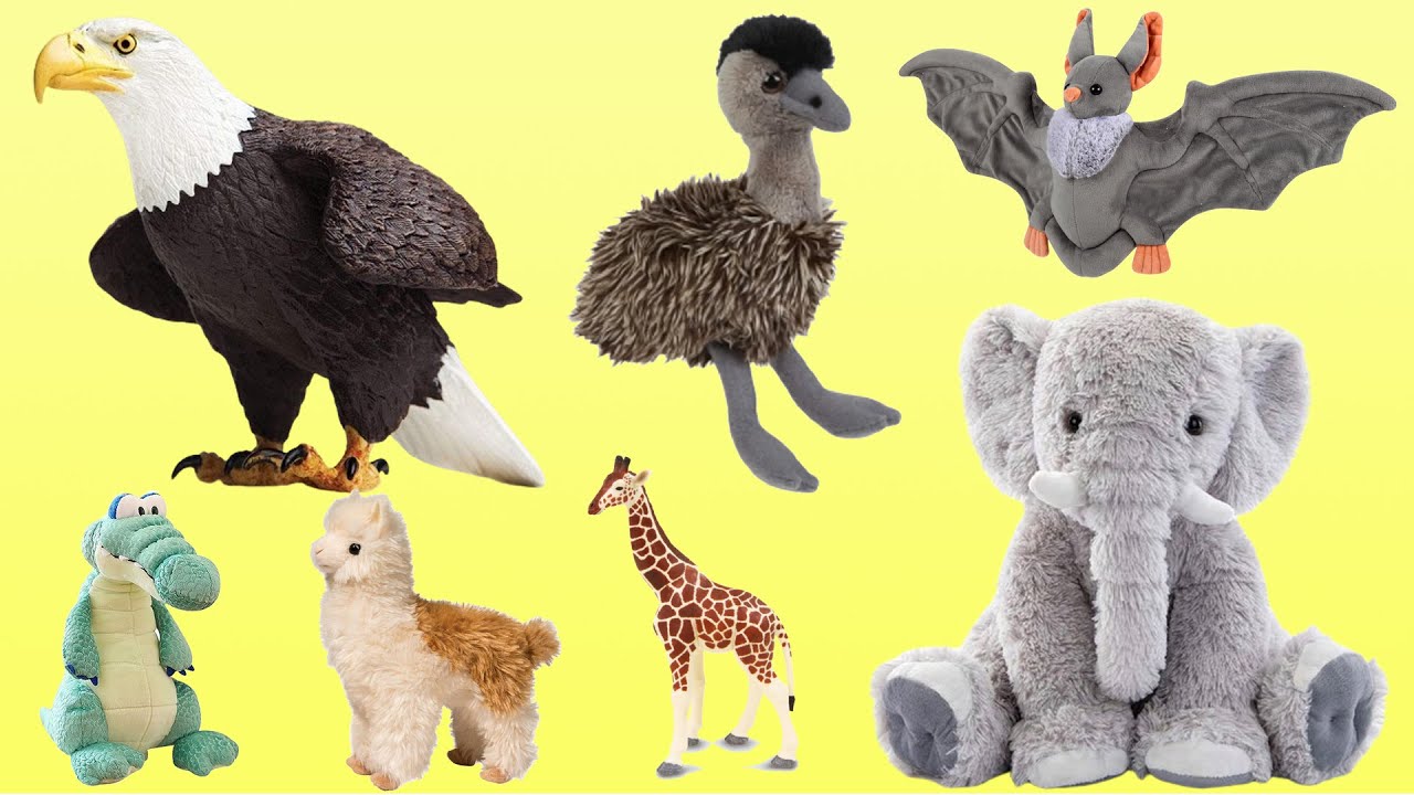Learn Animal Names | Giraffe Emu Eagle Crocodile Elephant Alpaca Bat ...