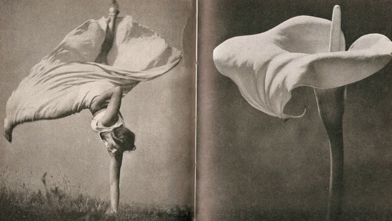 Trois minutes d'art - Loïe Fuller - YouTube