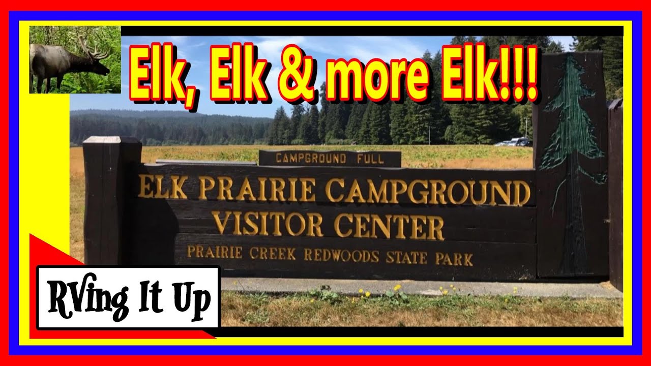 Elk prairie campground in Redwood State and National Park - YouTube
