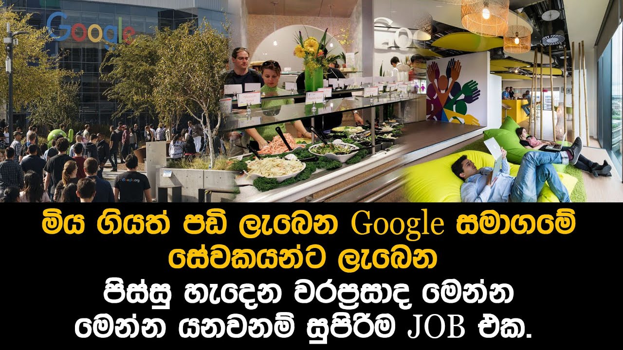 Google සමාගමේ සේවකයන්ට ලැබෙන පිස්සු හැදෙන වරප්‍රසාද Awesome Google ...