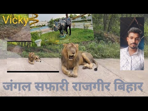 #जंगल सफारी राजगीर बिहार jangal safari rajgeer bihar - YouTube