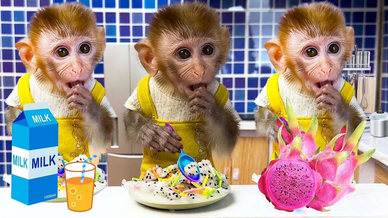 Baby monkey Abu go shopping toy rainbow Eggs and eats candy Mukbang ...