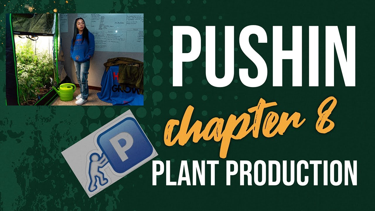 Chapter 8 : Pushin P.....Getting BIG PRODUCTION OFF PLANTS - YouTube
