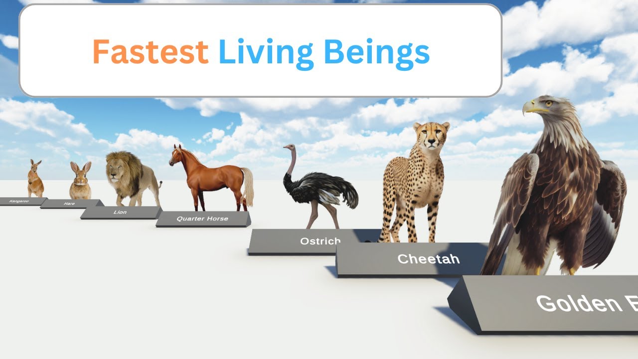 Fastest Animal Chart