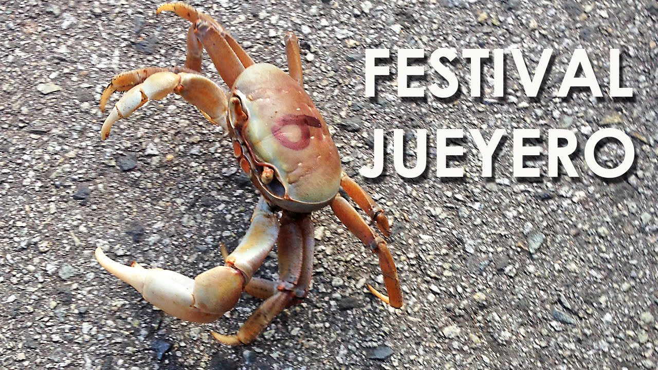 FESTIVAL JUEYERO DE MAUNABO - YouTube