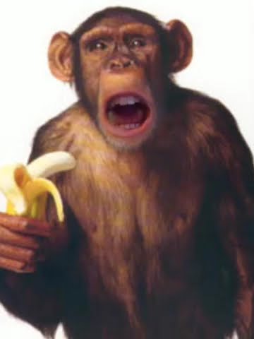 Do you have a big banana? Monkey addition - YouTube