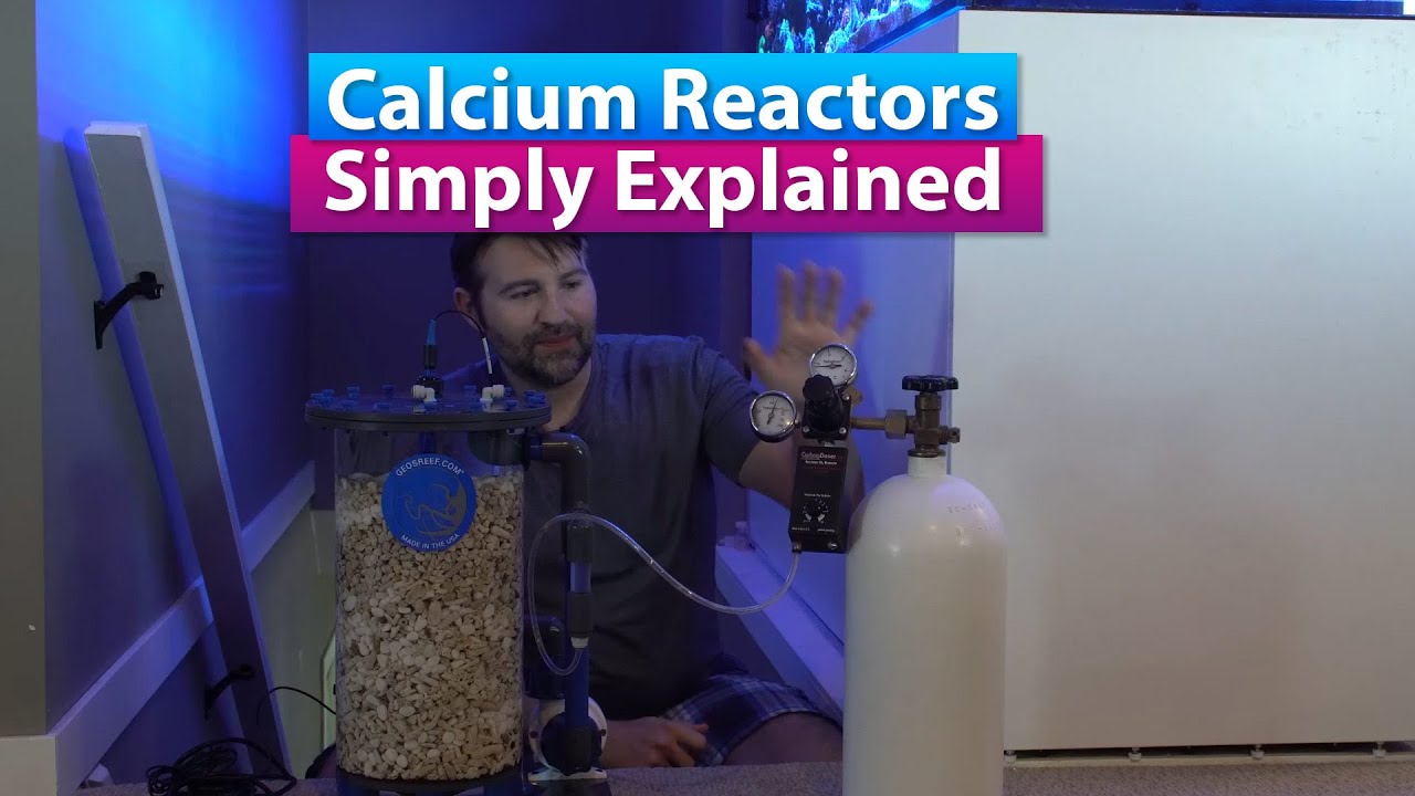 Calcium Reactors explained- Tuning, Setup, Dosing, do you need one ...