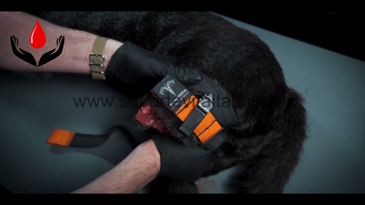 Torniquete SOFT K9 - YouTube