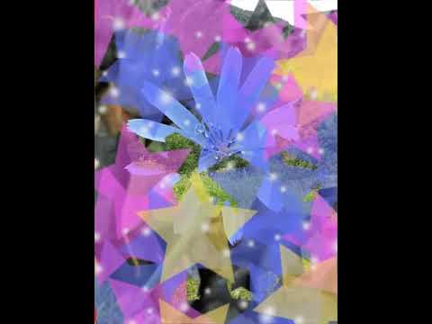 TOKAT ERBAA DOKUZCAM KOYU