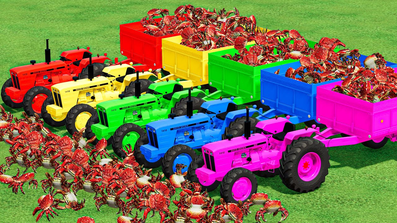 GIGANT CRABS TRANSPORT WITH MINI DAVID BROWN TRACTORS! Farming ...