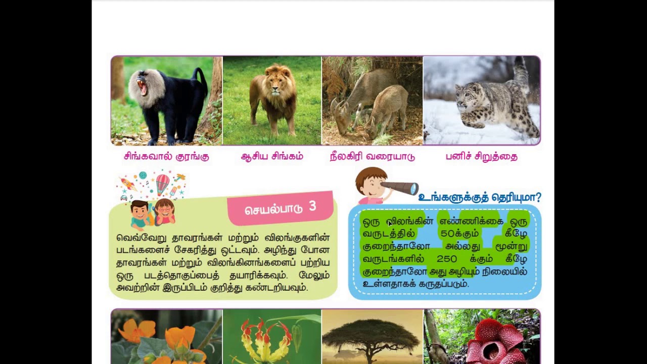 5th Standard Social Science 3rd Term lession 2 Part 2 5th-standard-social-science-3rd-term-lession-2-part-2
