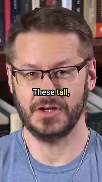 Muhammad met group of al Zutt men - YouTube