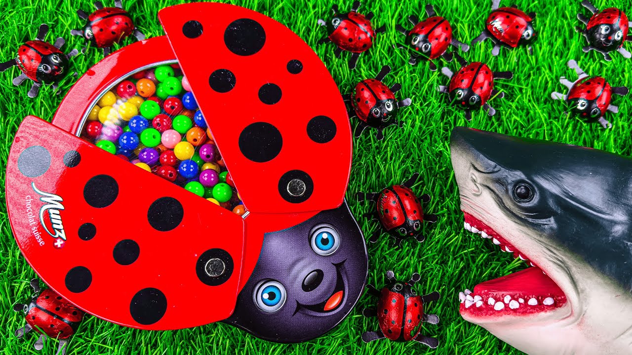 Very Satisfying Video l New Mixing Beads in Glossy LadyBug with Angry ...