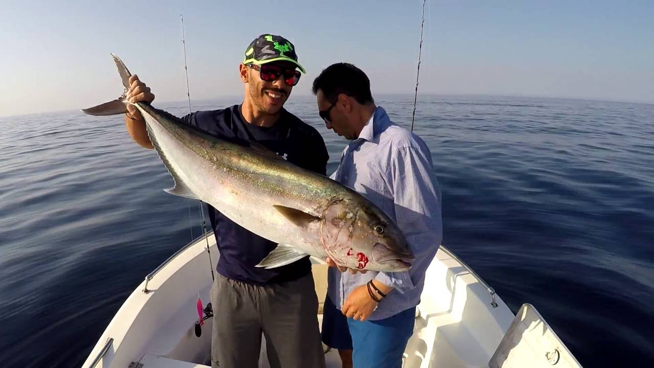 Ψαρευοντας Μαγιατικα Στο Αιγαιο - Fishing Amberjacks In Aegean - YouTube