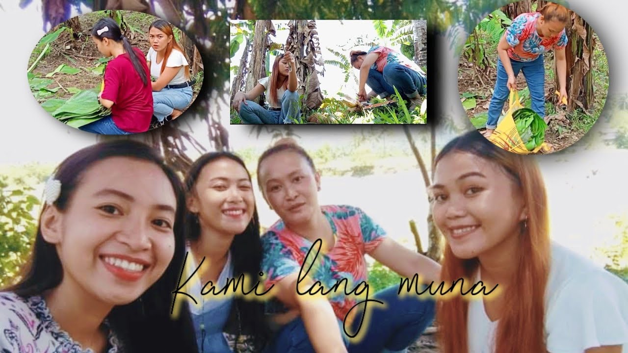 NANGUHA KAMI NG BUKO AT DAHON NG SAGING|BUHAY PROBINSYA|MHIMAY - YouTube