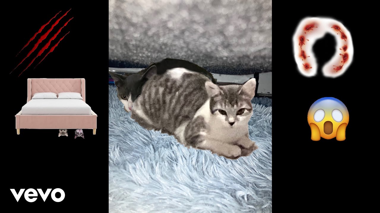 Cosmo & Luna (Official Music Video) - YouTube