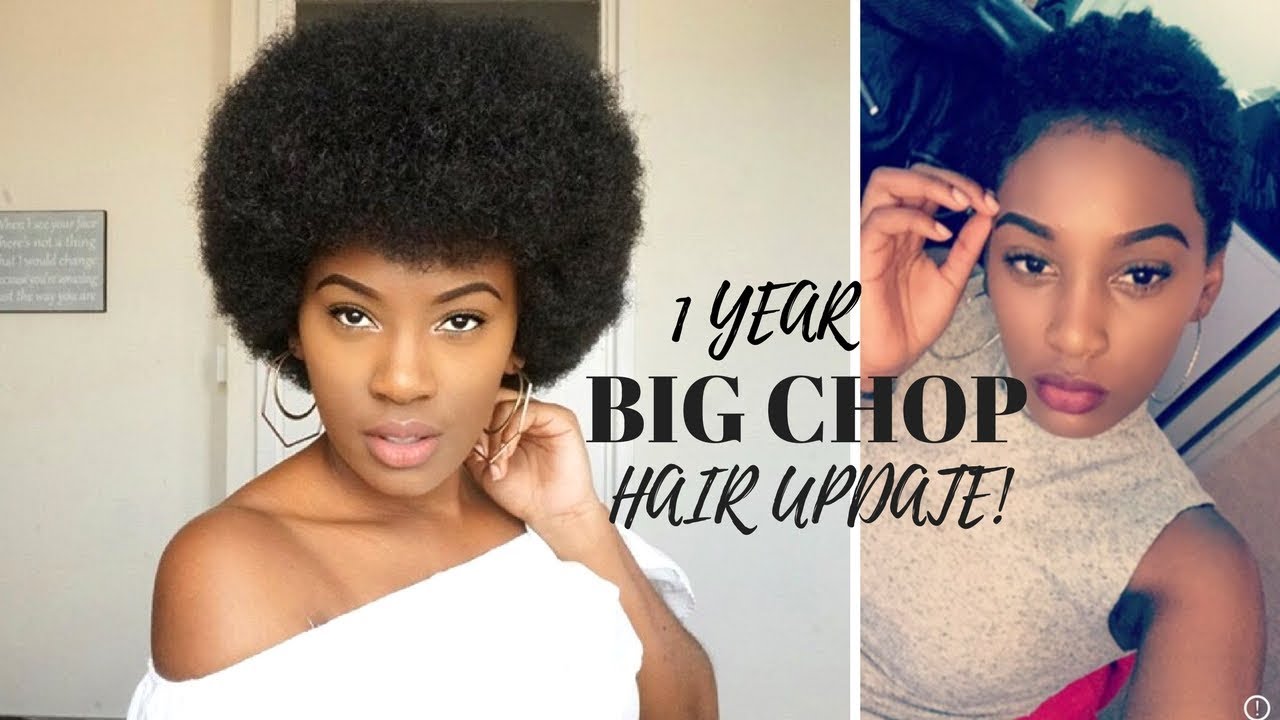 BIG CHOP 1 YEAR GROWTH| AFRO!! - YouTube