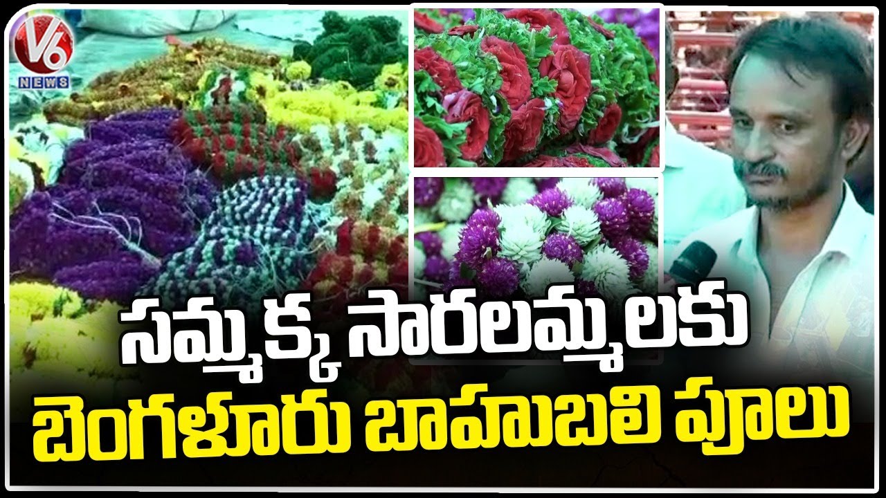 Bahubali Leaves and Other Flowers Used For Decorating Medaram Premises ...