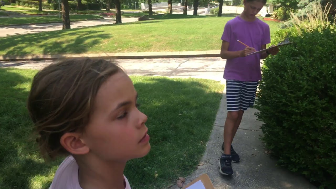 Organism Survival 6 (3rd Grade NGSS: 3-LS4-3) - YouTube
